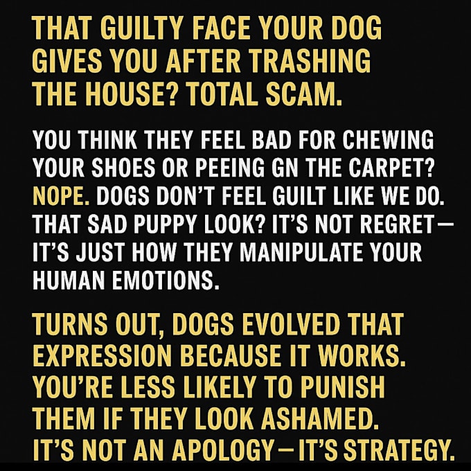 Write viral short video scripts by Tombi01 | Fiverr