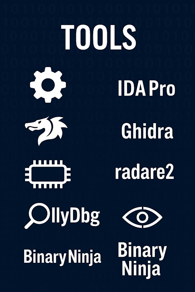 Provide reverse engineering, binary analysis, and digital forensic by Sadatali_0 | Fiverr