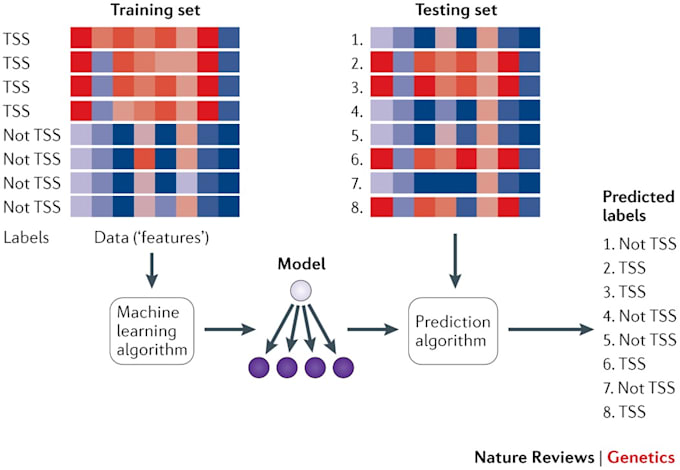 Analyze bioinformatics data using ai, ml, python, r by Asimmehmoodai ...