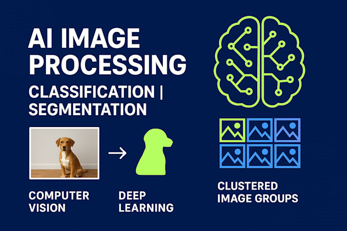 Do image classification, clustering, image processing and segmentation by Andres_delaney2 | Fiverr