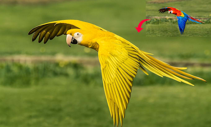 Create custom lightroom preset pack for you by Creatinate | Fiverr