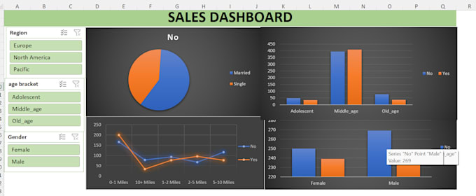 Perform professional data analysis, create dashboards, and deliver ...