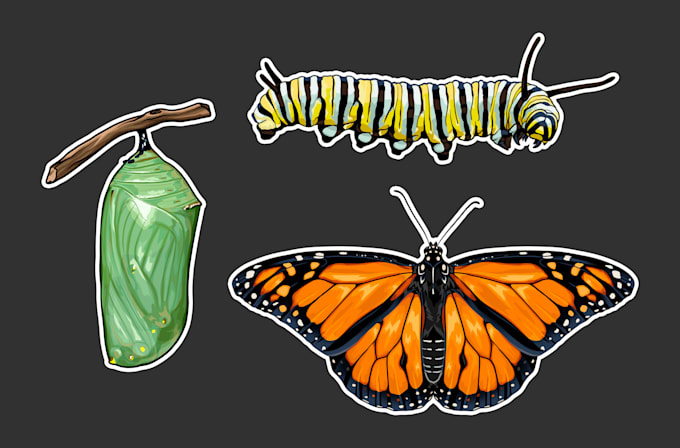 Create detailed stylized digital illustrations by Thaliabenlolo | Fiverr