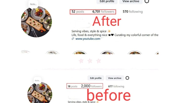 Do increase social media organic followers by Zosna33 | Fiverr