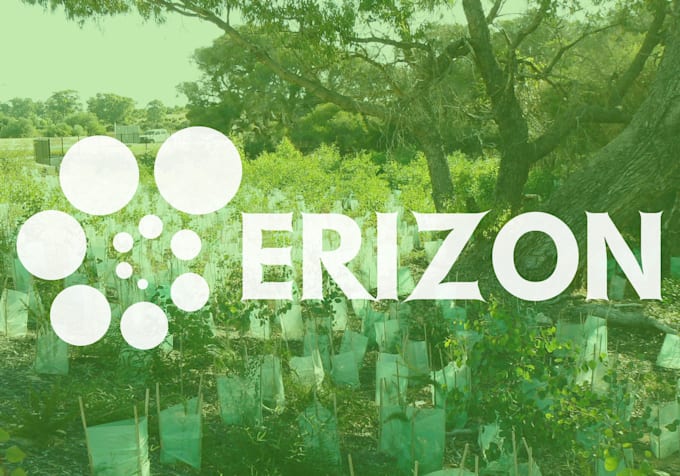 Design basic, standard and premium logo by Ucosuagwu | Fiverr