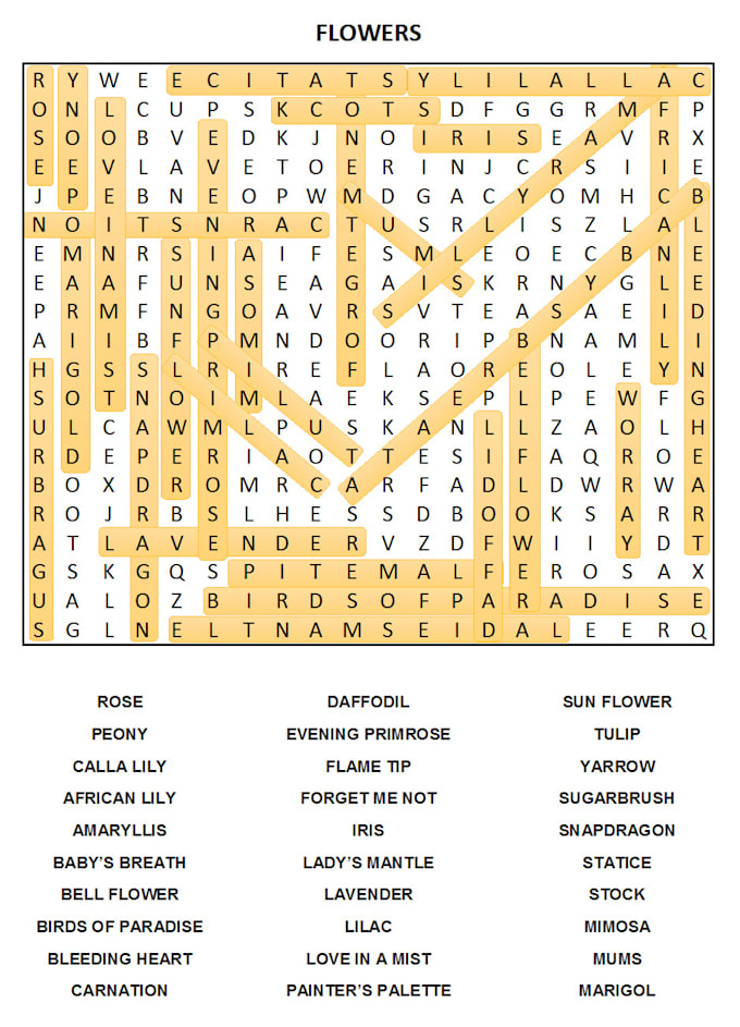 Create customised wordsearch puzzles with solutions by Tehmeena_a | Fiverr