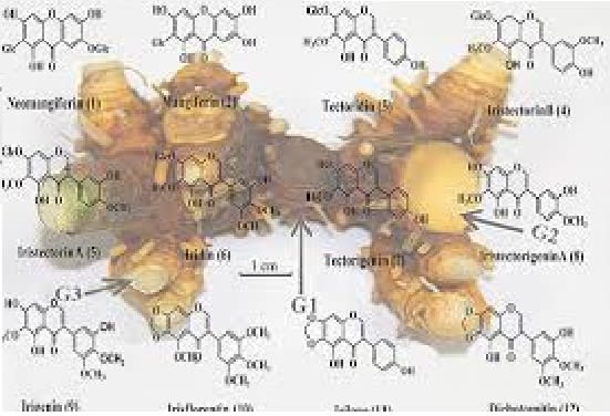 Make complex chemical structures by Skilzmedia | Fiverr