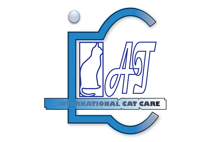 Design simple and professional text logo by Brandedge | Fiverr