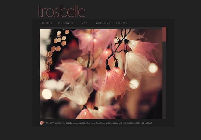 Make you a custom tumblr theme by Shannynwilson | Fiverr