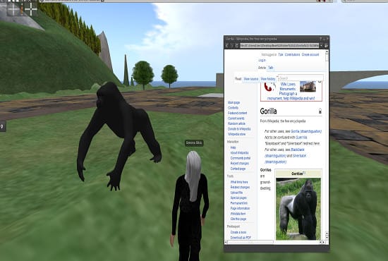 Create a standalone virtual world for you to enjoy by Kaymelefa | Fiverr