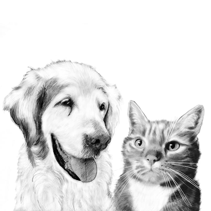 Do a drawn sketch of your pet by Dgc_portraits | Fiverr
