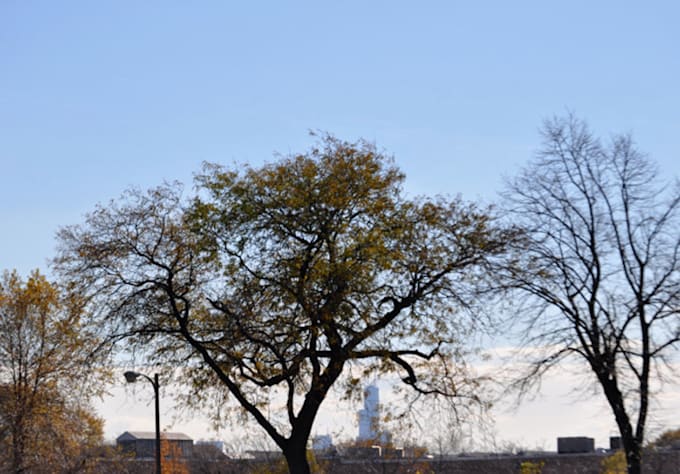 Photograph random places in chicago by The360beyond | Fiverr