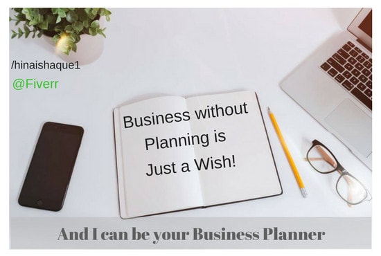 Write a custom business plan for you by Hinaishaque1 | Fiverr