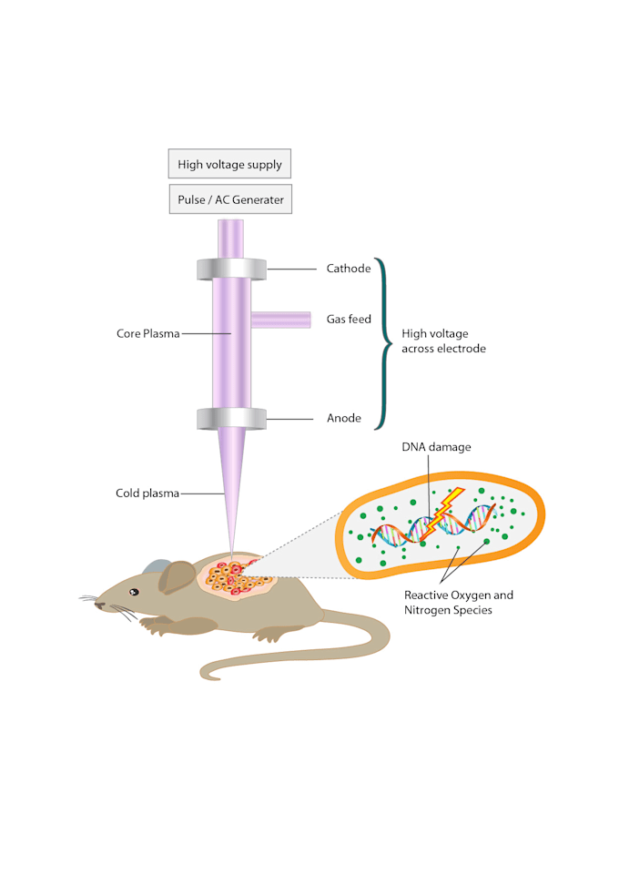 Design medical, scientific illustration, figures, and diagrams by ...