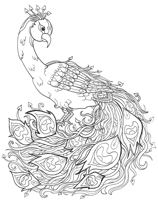 Hand draw a grown up coloring page by Cheekydesigns | Fiverr