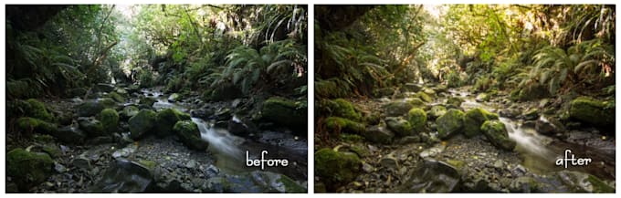 Apply a beautiful naturalistic look on your pictures by Photo_dub | Fiverr