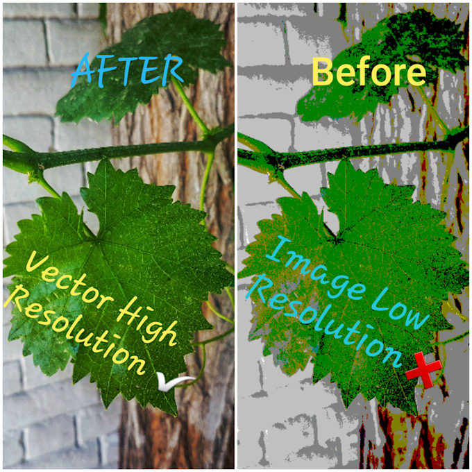 Convert,low resolution image in to high resolution by Fshah12 | Fiverr