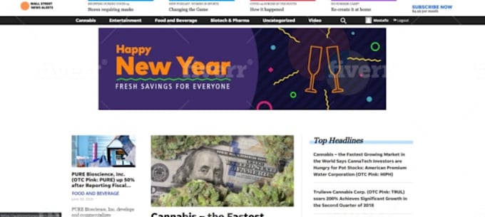 Install Wordpress Setup Theme Do Customization By Brianaustin Fiverr