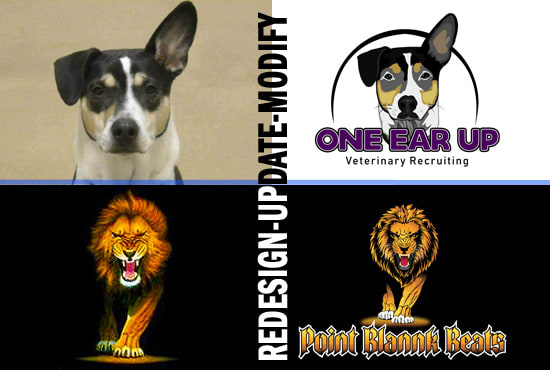 Redesign ,edit ,update ,drawn, modify existing logo design by ...