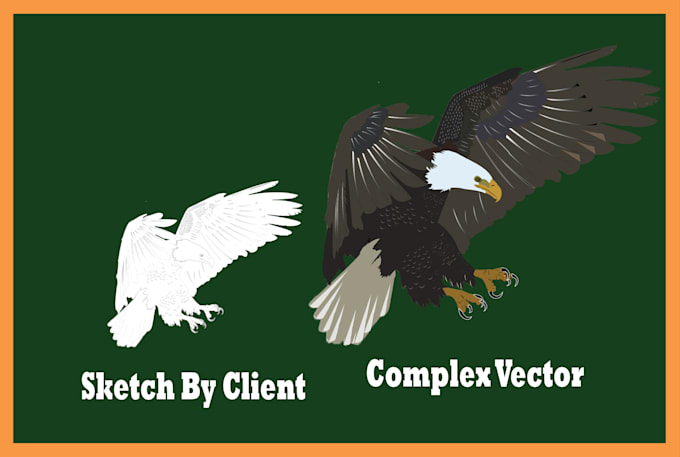 Do pro complex tracing,vectorize, redraw logo,image in hd by Olivia ...