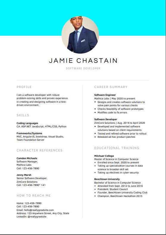 Design a professional cv, resume design on canva for you by Venuja356 ...