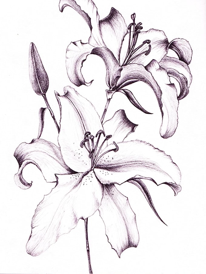 Create unique surrealism, realism, line art, tattoo design by ...