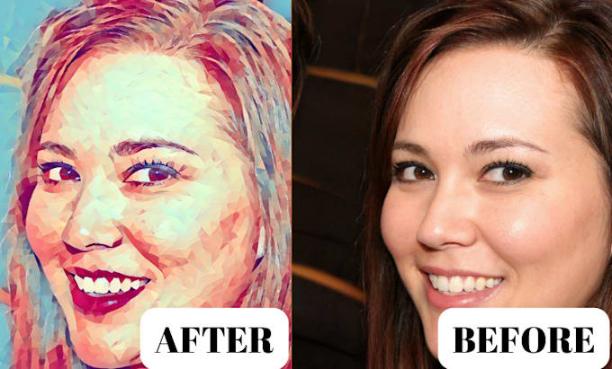 Turn pictures into low poly vector art by Colorarticles | Fiverr