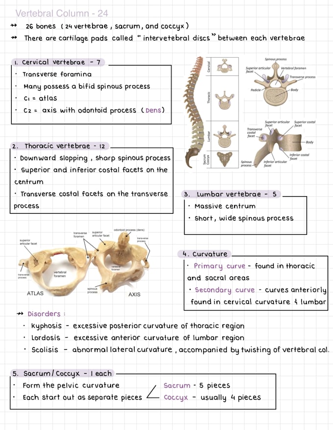 Create aesthetic digital or handwritten notes by Nhito_ | Fiverr