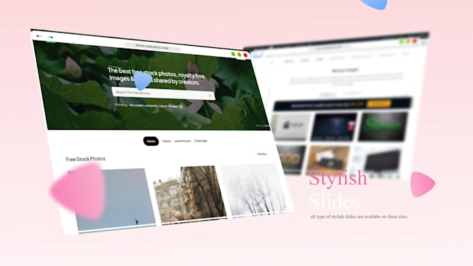 Create dynamic , customize and professional website animation by ...