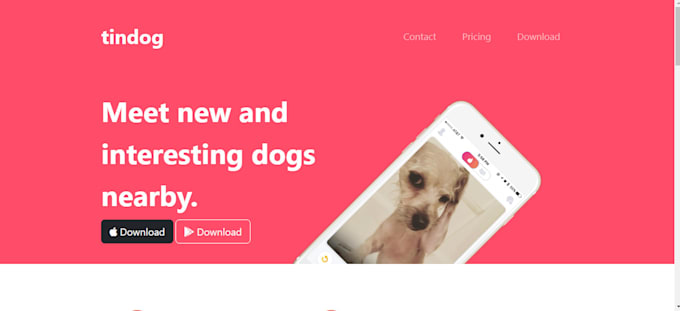 Build a great custom build front end website for you by Afaqkashif | Fiverr