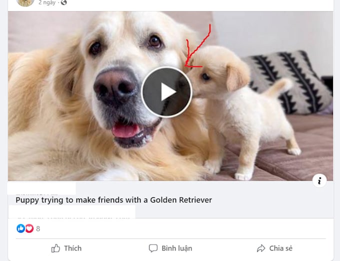 Give you guide how to post link with square image thumnail on facebook ...