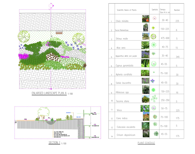 Create your landscape 2d detail design by Zeni_chane | Fiverr