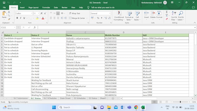 Do data clean, split, dashboard, charts, pivot table , vlookup in excel sheets by Venkat_8448 ...