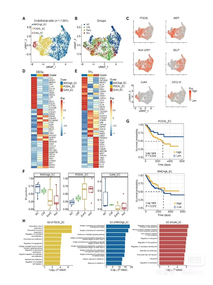 Conduct comprehensive bioinformatics analysis by Chengwei_tie | Fiverr
