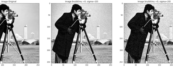 Do Image Classification Segmentation And Object Detection By Ilyassemssaad Fiverr