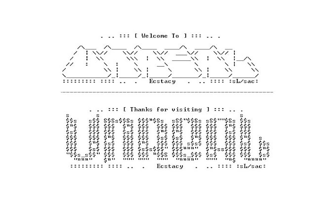Create unique ascii art designs for you by Strikelight | Fiverr