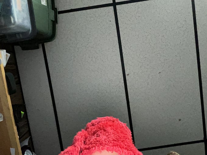 Talk as elmo with a puppet elmo can and will say anything by Family ...