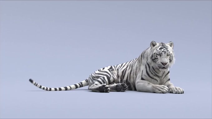 Cgi 3d animal modelling rigging and animation in blender, unreal engine ...
