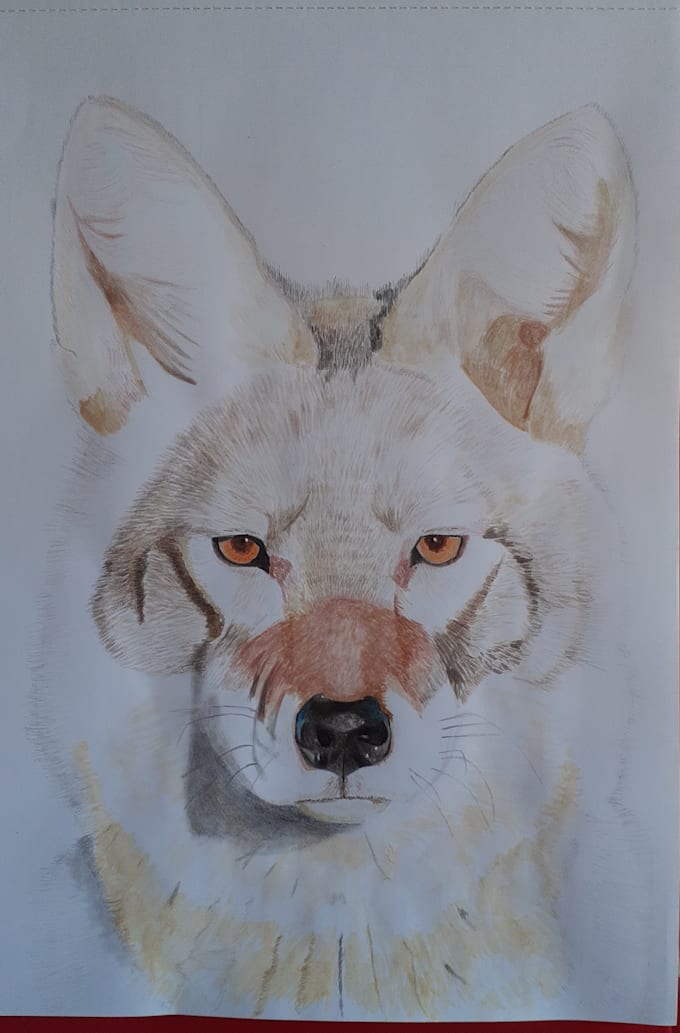 Draw an animal portrait by Luca_pulisciart | Fiverr