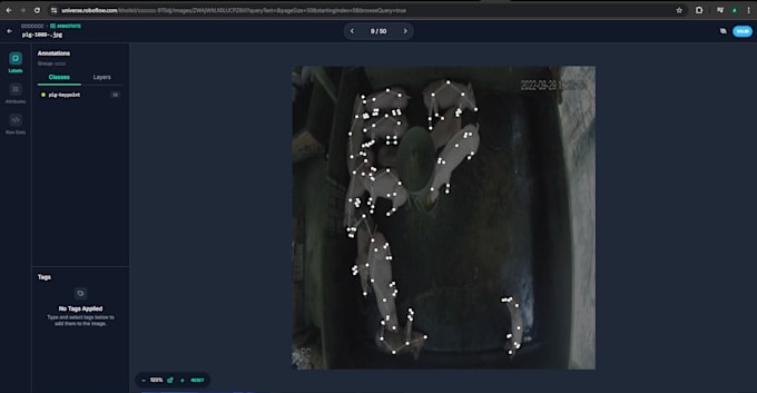 Do Image Annotation Segmentation Bounding Box And Data Labeling Services For Ai By Afzalkam