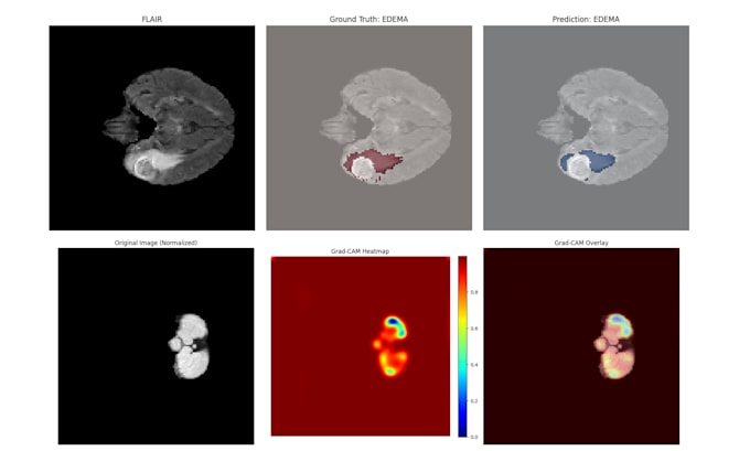 Do solutions in computer vision, ai, machine learning, nlp by Mrirashid ...