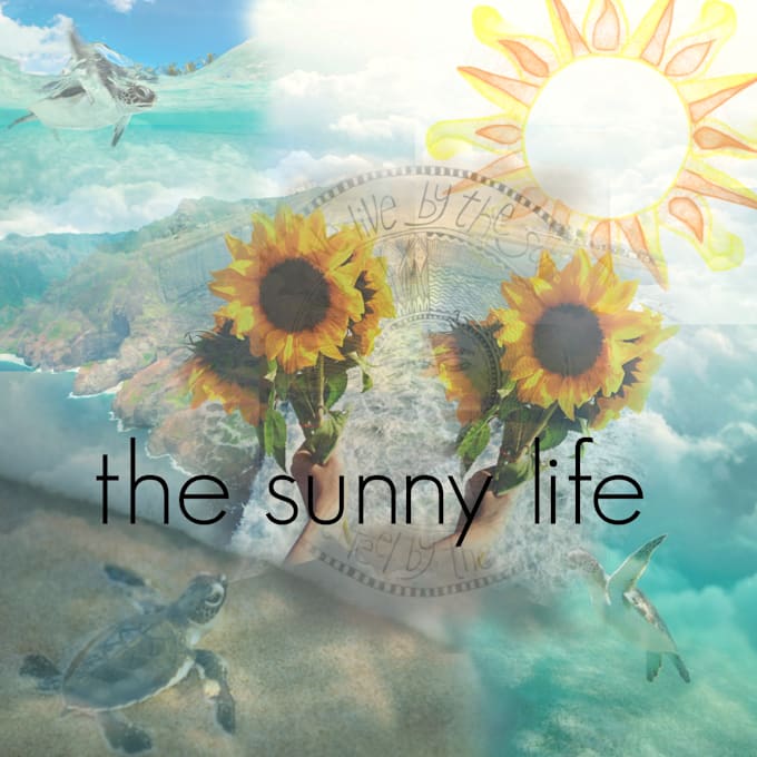 Sunflower Headers For Twitter | Best Flower Site