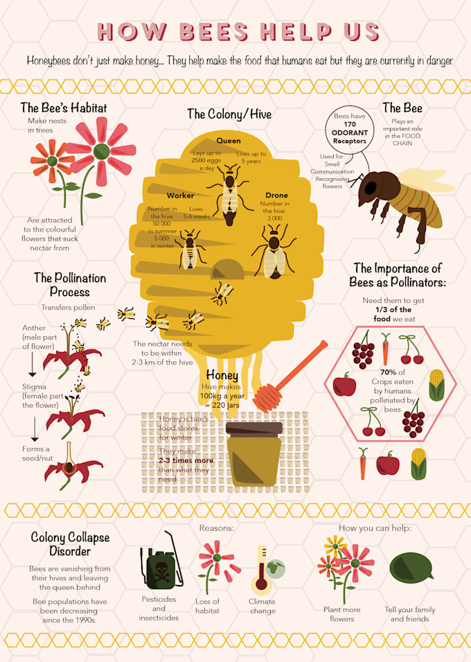 Design informative and interesting infographics by Anisshagovind