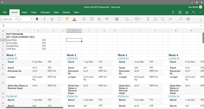 Provide david laids weight and strength dup program by Afitnessguy