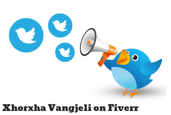 Manage and grow your twitter profile by Xhorxhavangjeli