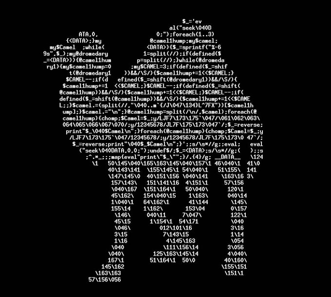 Write A Perl Script Or Perl Module By Nolaan 5065