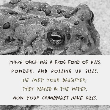 Write a clever limerick in standard aabba format about any theme for ...