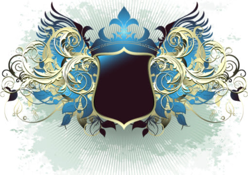 Give you over 20 adobe illustrator shield designs by Danhe77