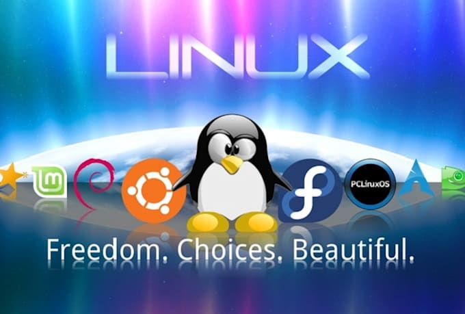 Setup, customize or optimize anything on your linux based server by Darkomk