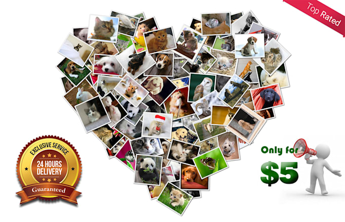 Make an amazing unique photo collage from your pictures by Afi_designer